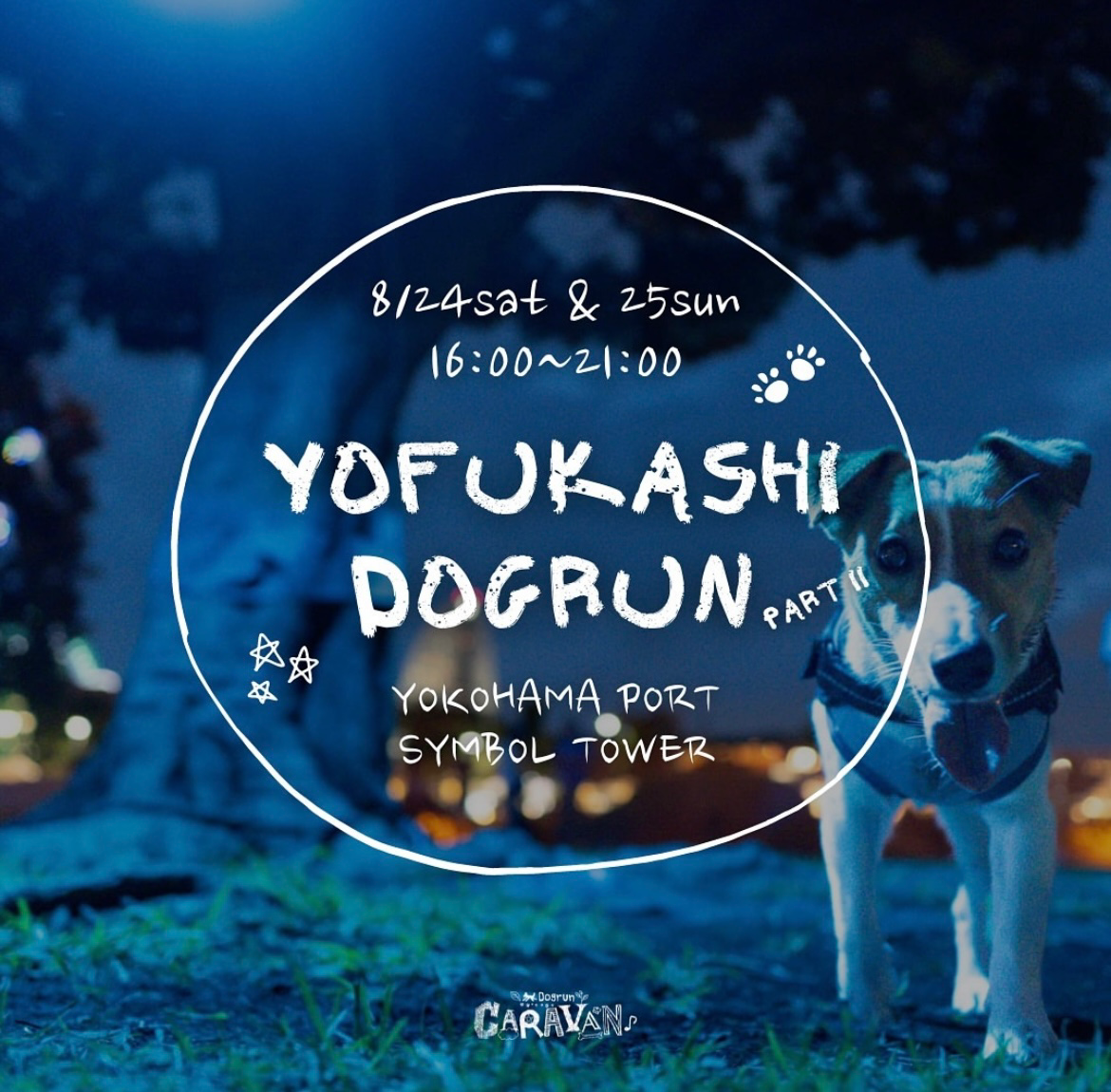 【2024年8月イベント出店情報 神奈川県】 "夜更かしドッグラン Part2" | DOGBASE YOKOHAMA